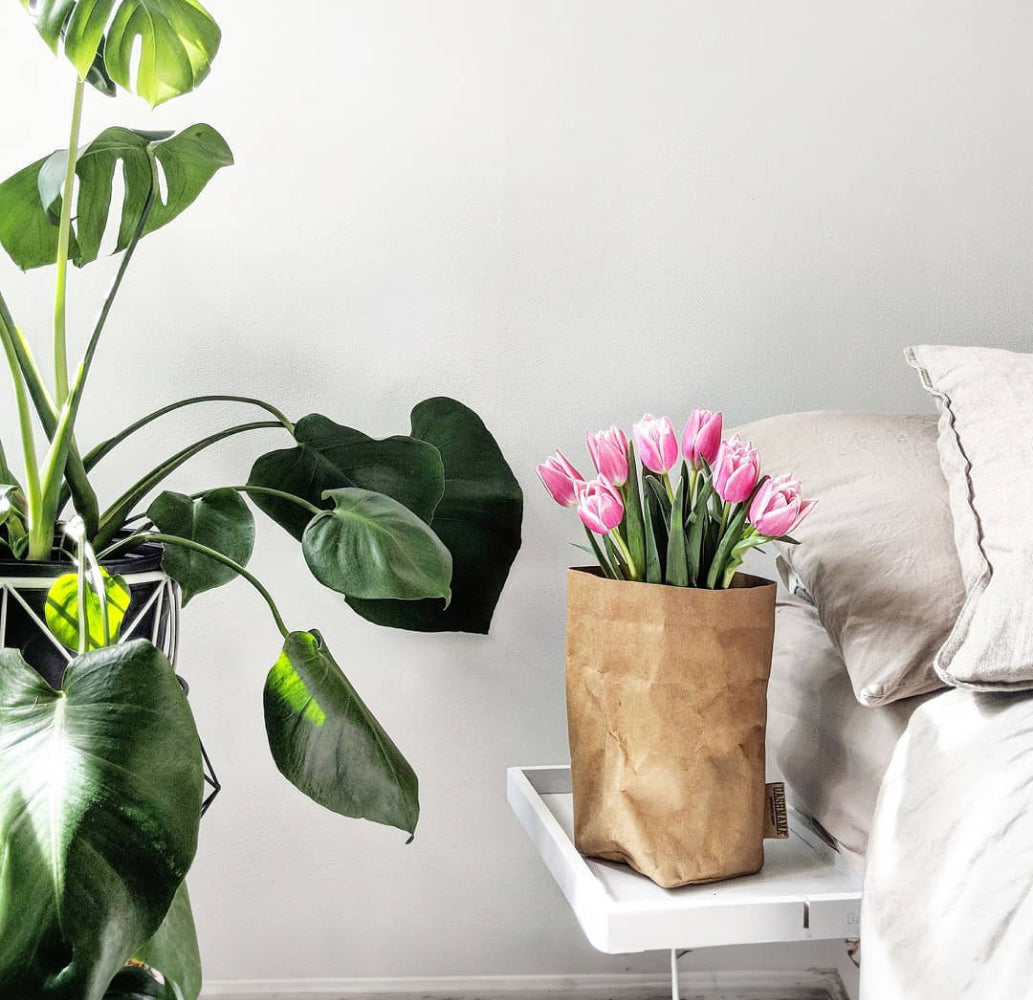 BedShelfie - Modern Bedside Shelf & Bunk Bed Shelf